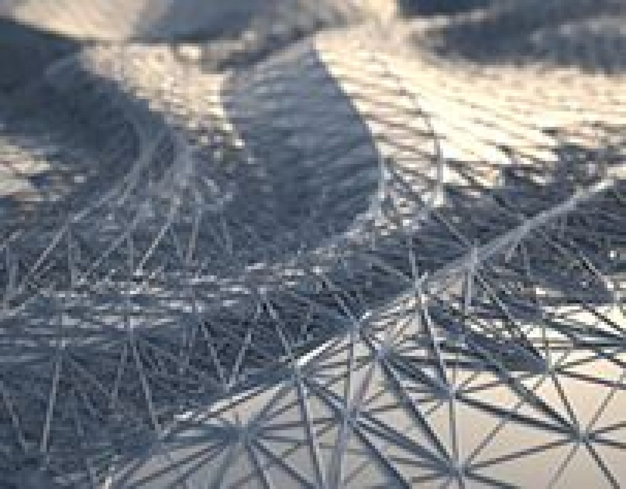 Oenothera Bridge | Marius Cernica - Arch2O.com