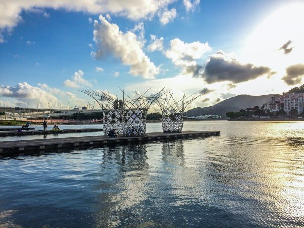 Bloom Pavilion |St. Josephs University students