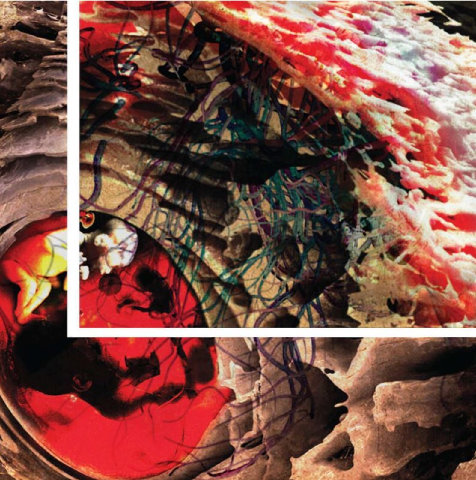 Surrogate Bodies: the emergence of the architecture entity