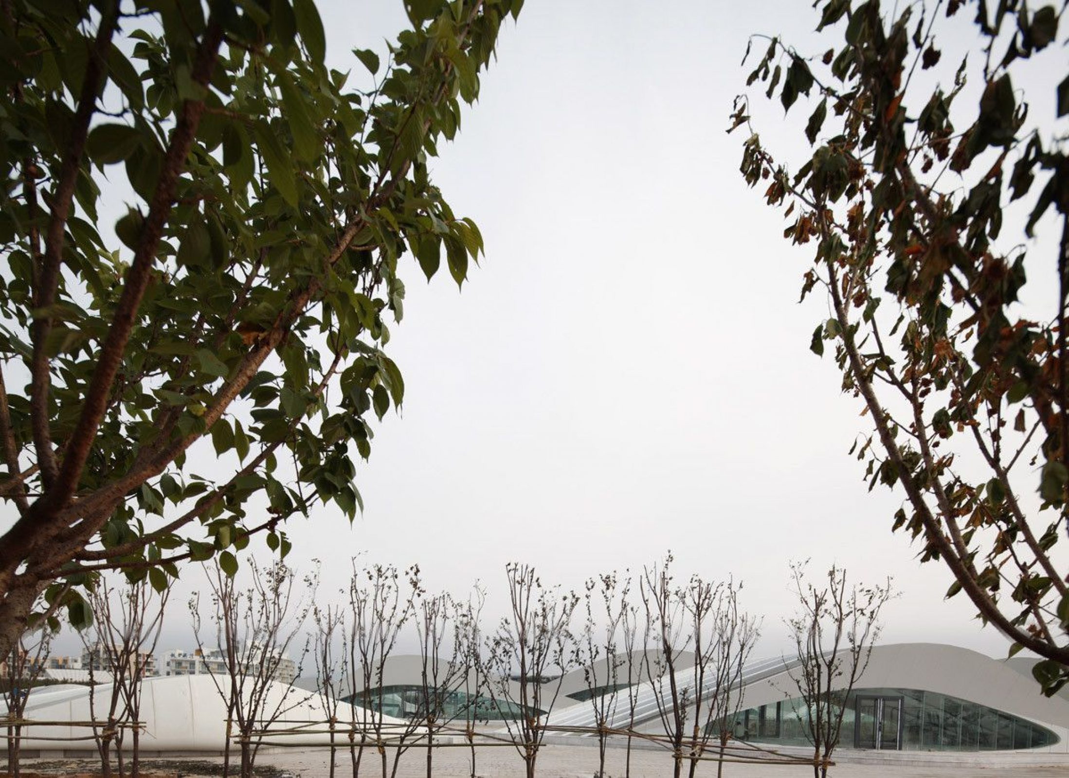 Rizhao Visitor Center | HHD_FUN Architects - Arch2O.com