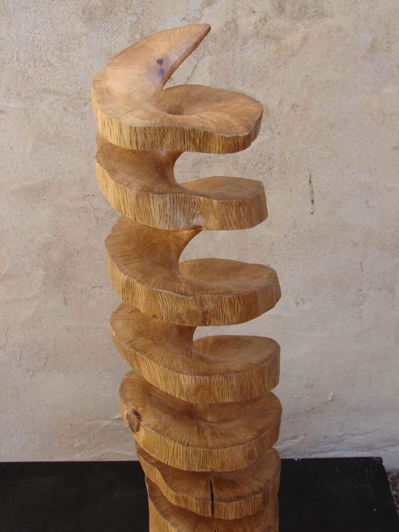 Twisted Forms | Xavier Puente Vilardell - Arch2O.com