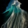 Surf Photography | Ray Collins - Arch2O.com