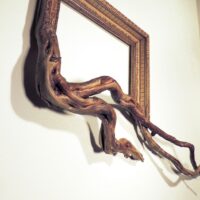 Trees Fused With Frames | Fusionframesnw - Arch2O.com