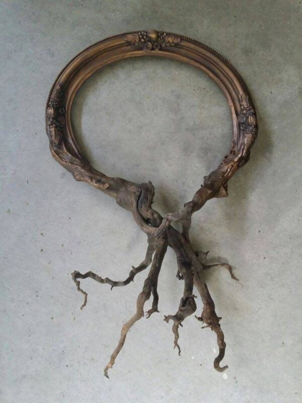 Trees Fused With Frames | Fusionframesnw - Arch2O.com