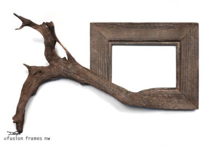 Trees Fused With Frames | Fusionframesnw - Arch2O.com