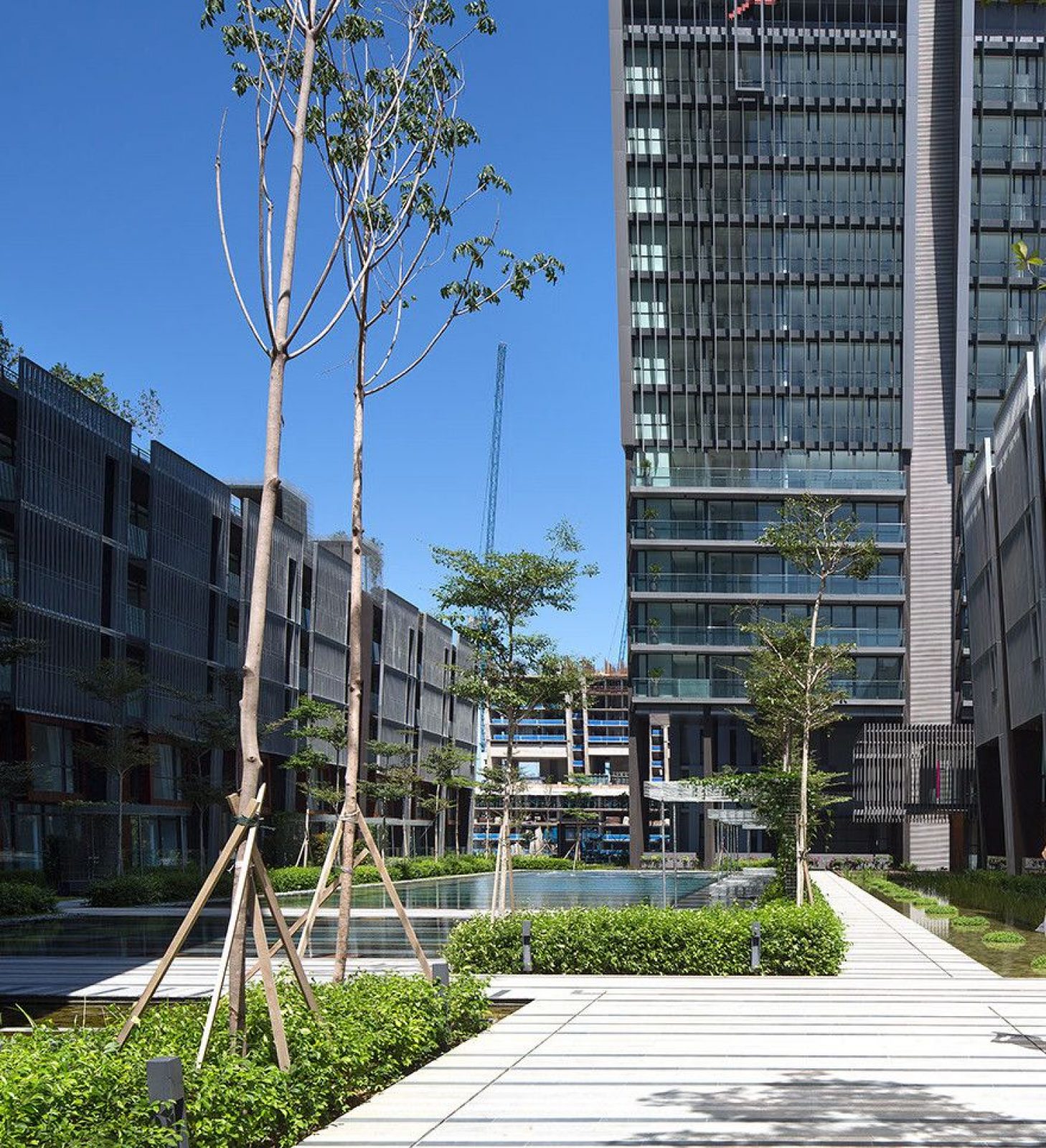 The Capers | RT+Q Architects - Arch2O.com