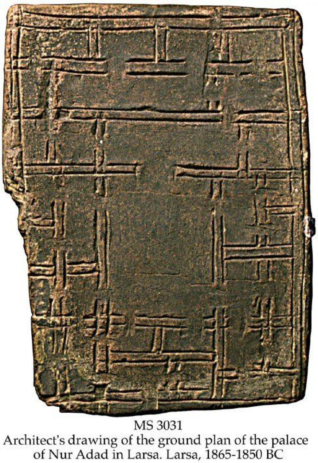 From Stone Carvings to CAD: How Architecture Drawing Has Evolved Over ...