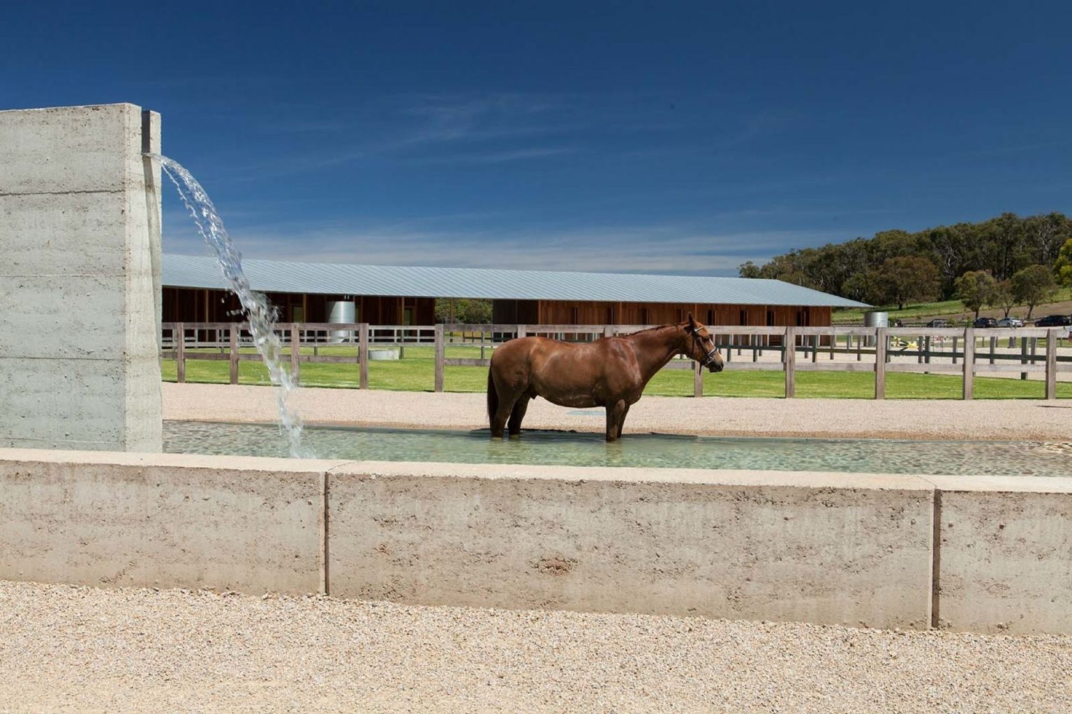 Architecture for Animals - Arch2O.com