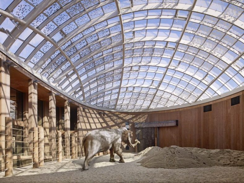 Architecture for Animals - Arch2O.com
