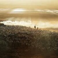 What Poverty Actually Looks Like - Arch2O.com