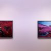 Pink Landscape | Richard Mosse - Arch2O.com