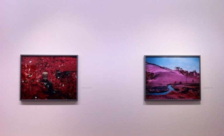 Pink Landscape | Richard Mosse - Arch2O.com