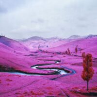 Pink Landscape | Richard Mosse - Arch2O.com