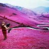 Pink Landscape | Richard Mosse - Arch2O.com