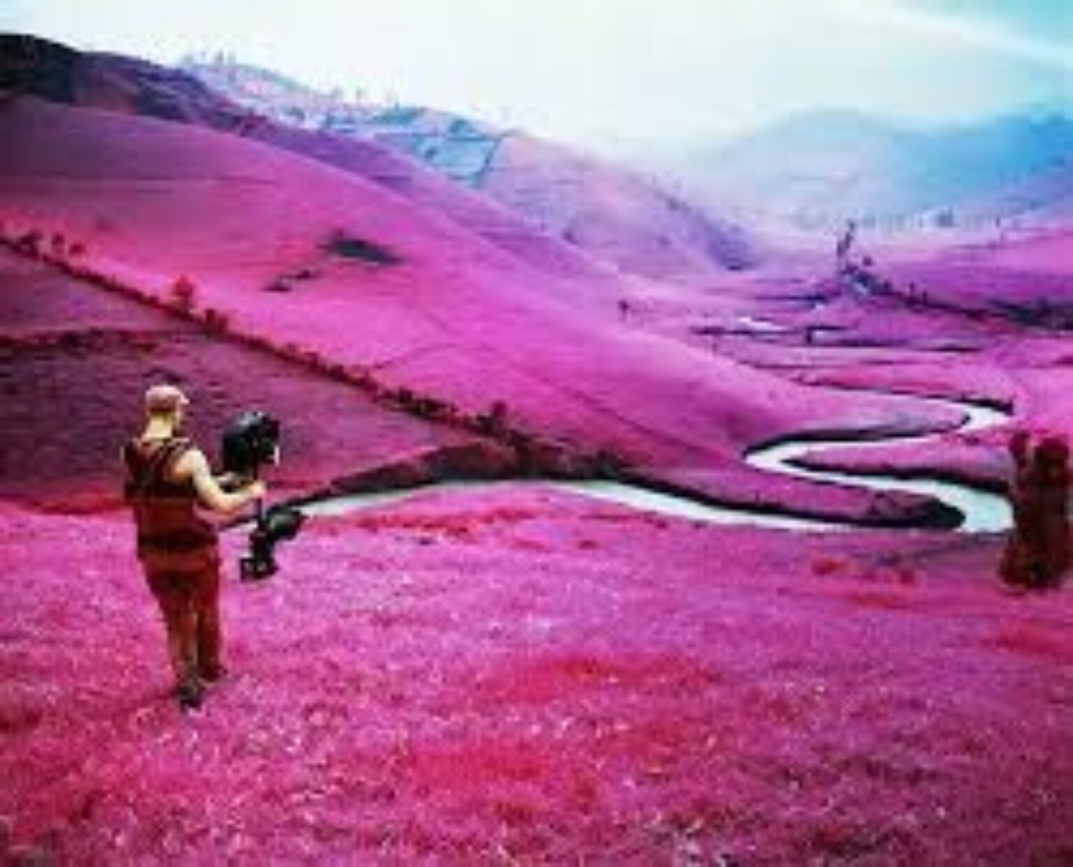 Pink Landscape | Richard Mosse - Arch2O.com