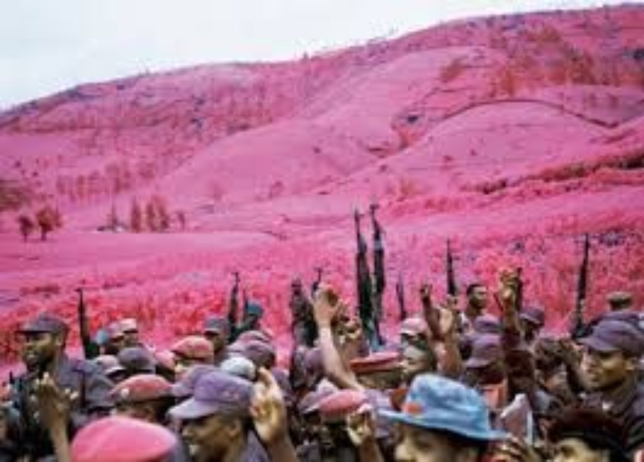 Pink Landscape | Richard Mosse – Arch2O.com