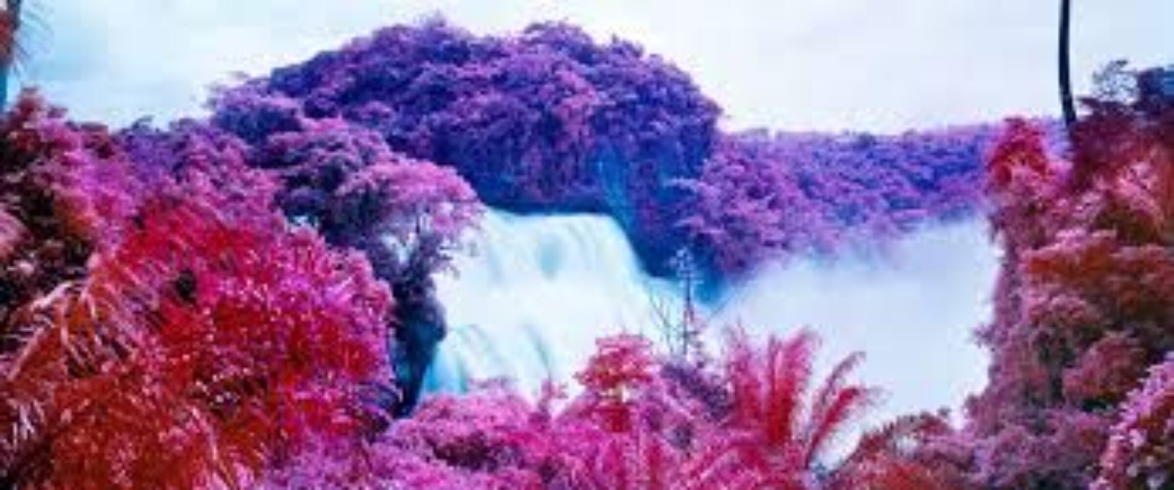 Pink Landscape | Richard Mosse - Arch2O.com