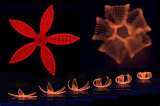 4D Printing - redefining materials and material behaviour - Arch2O.com