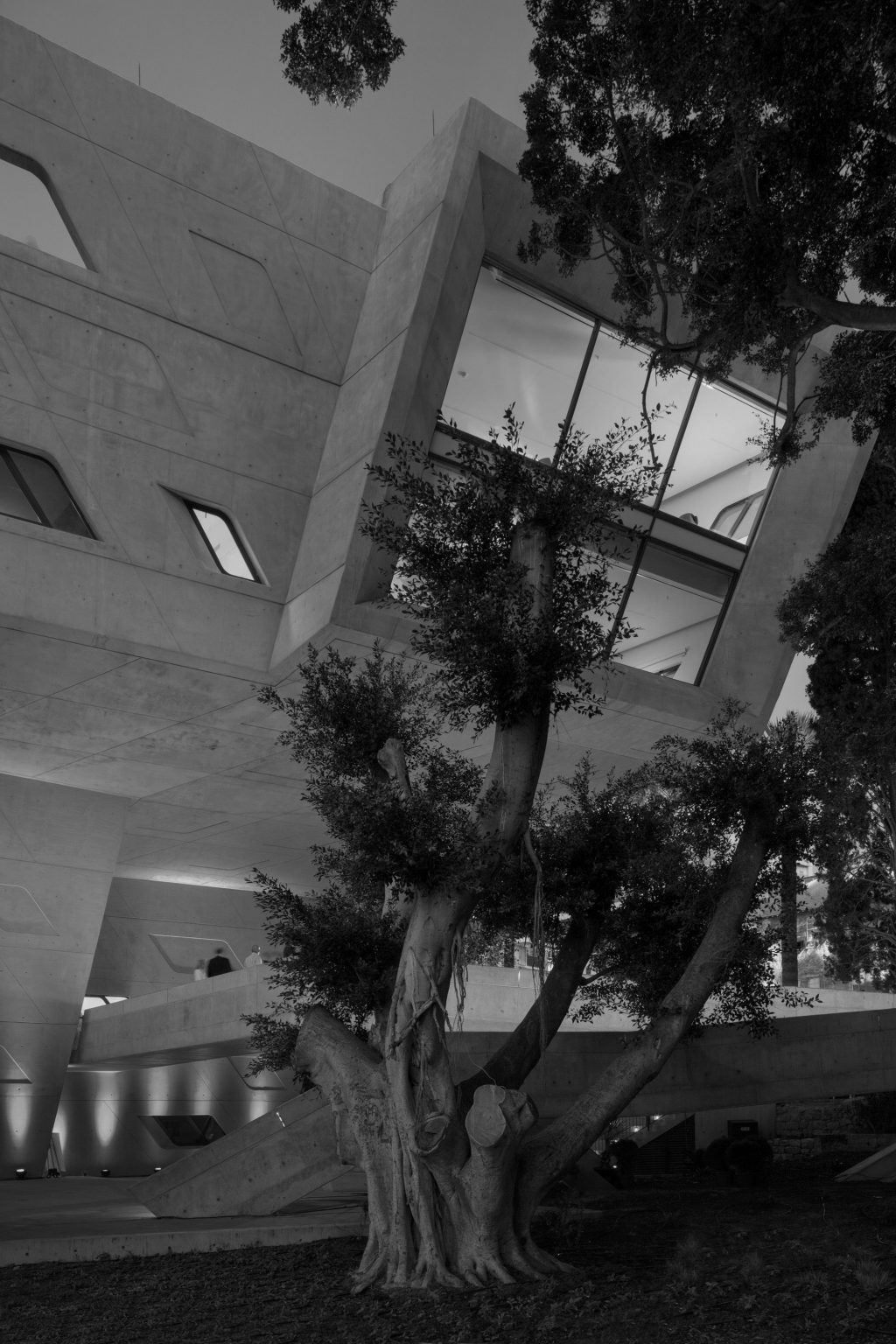 American University of Beirut "Issam Fares Institute" | Zaha Hadid ...