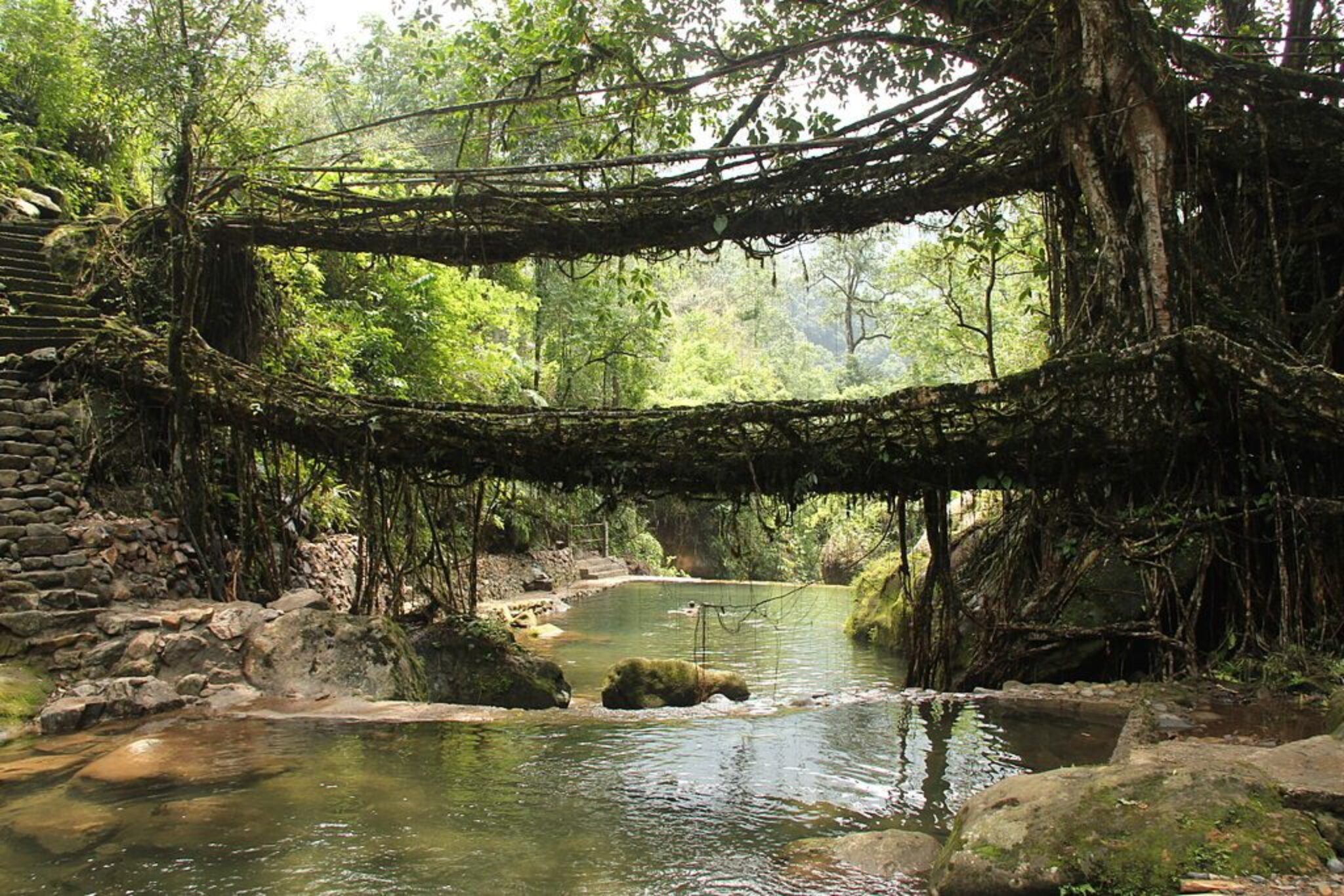 WHAT IS ARBORTECTURE? - Arch2O.com