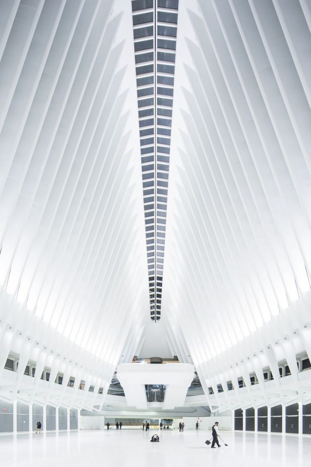 Milwaukee Art Museum | Santiago Calatrava - Arch2O.com