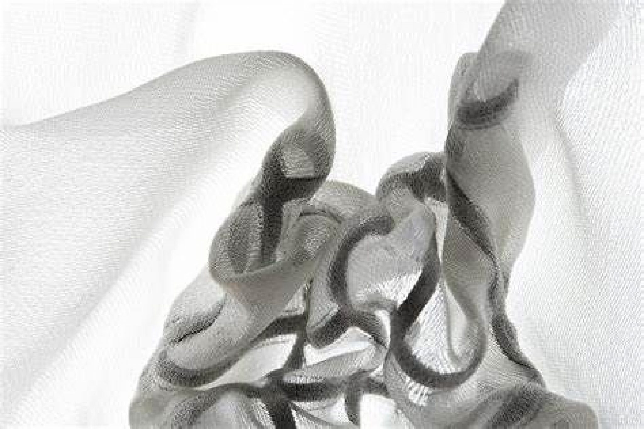 Weaved – 3D fabric structures | Dana Zelig - Arch2O.com