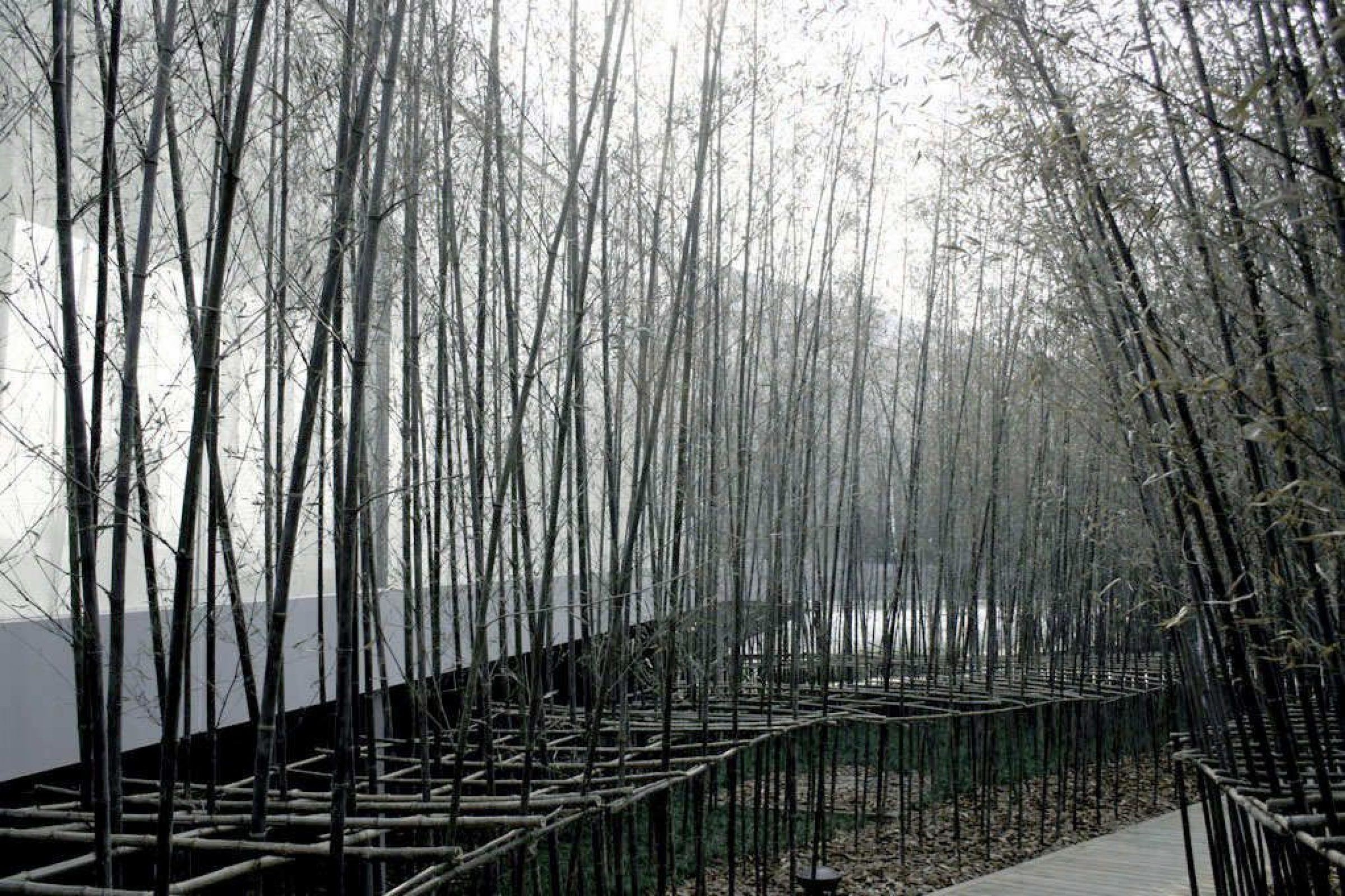 Riverside Clubhouse | TAO - Trace Architecture Office - Arch2O.com