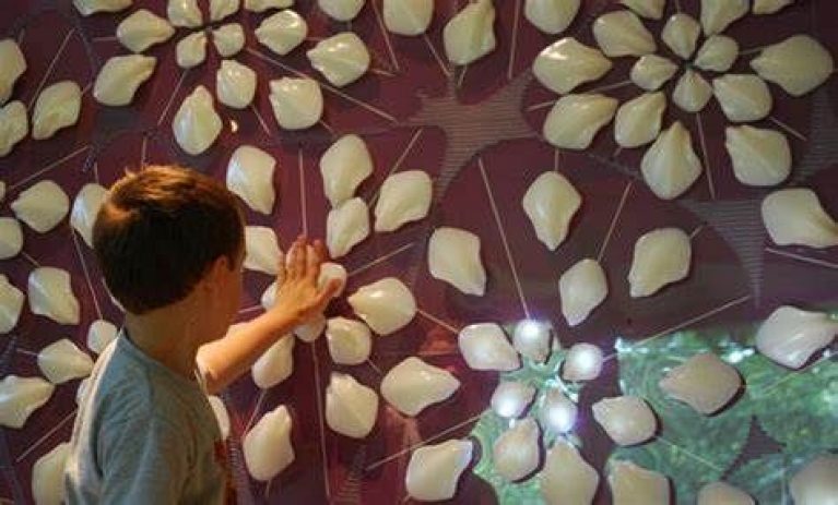 Radiance | PROJECTiONE - Arch2O.com