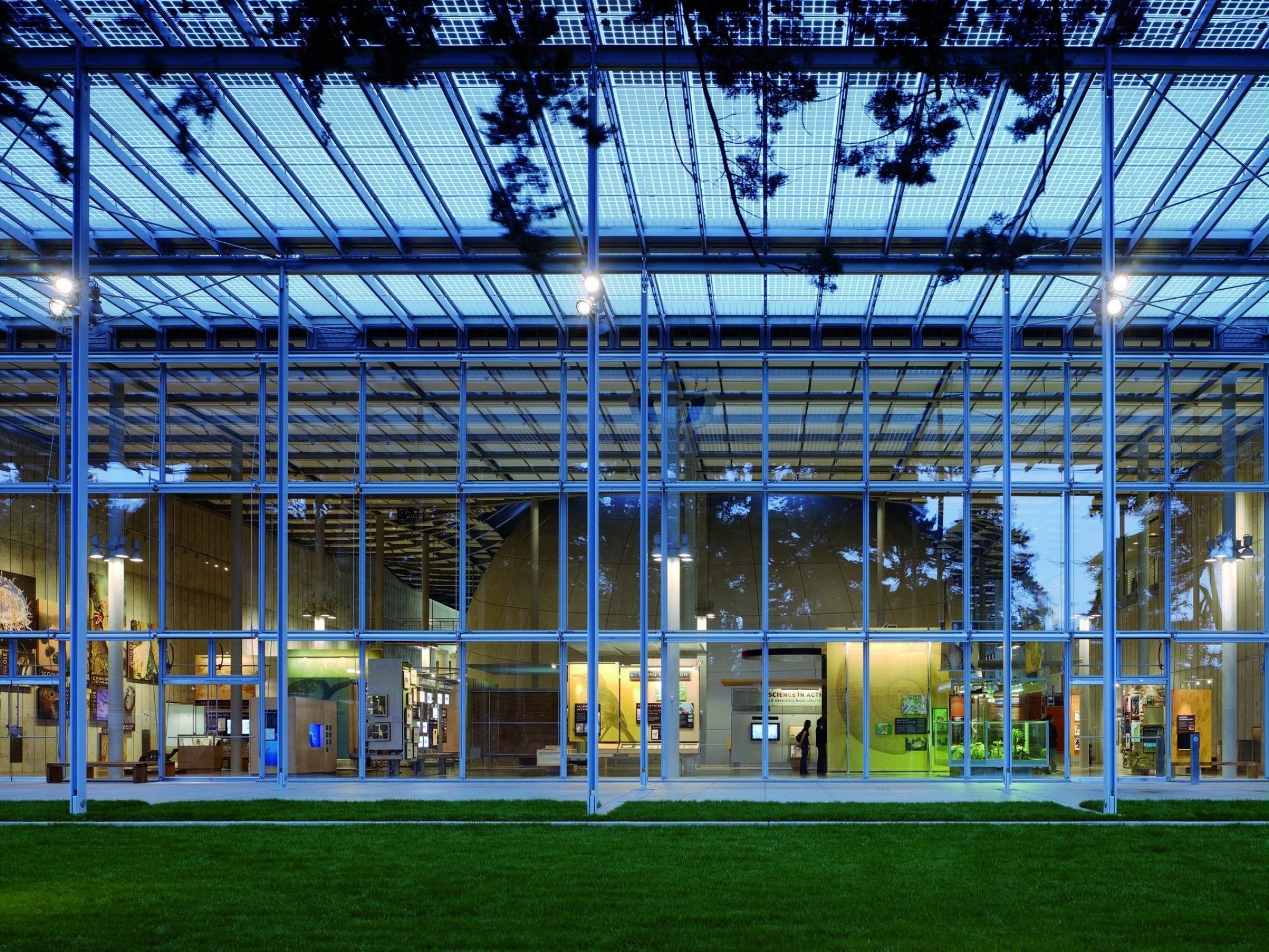 California Academy of Sciences | Renzo Piano Building Workshop ...