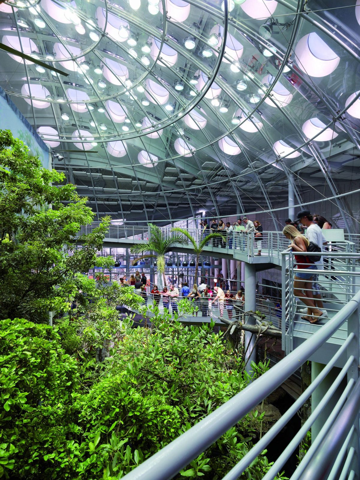 California Academy of Sciences | Renzo Piano Building Workshop ...