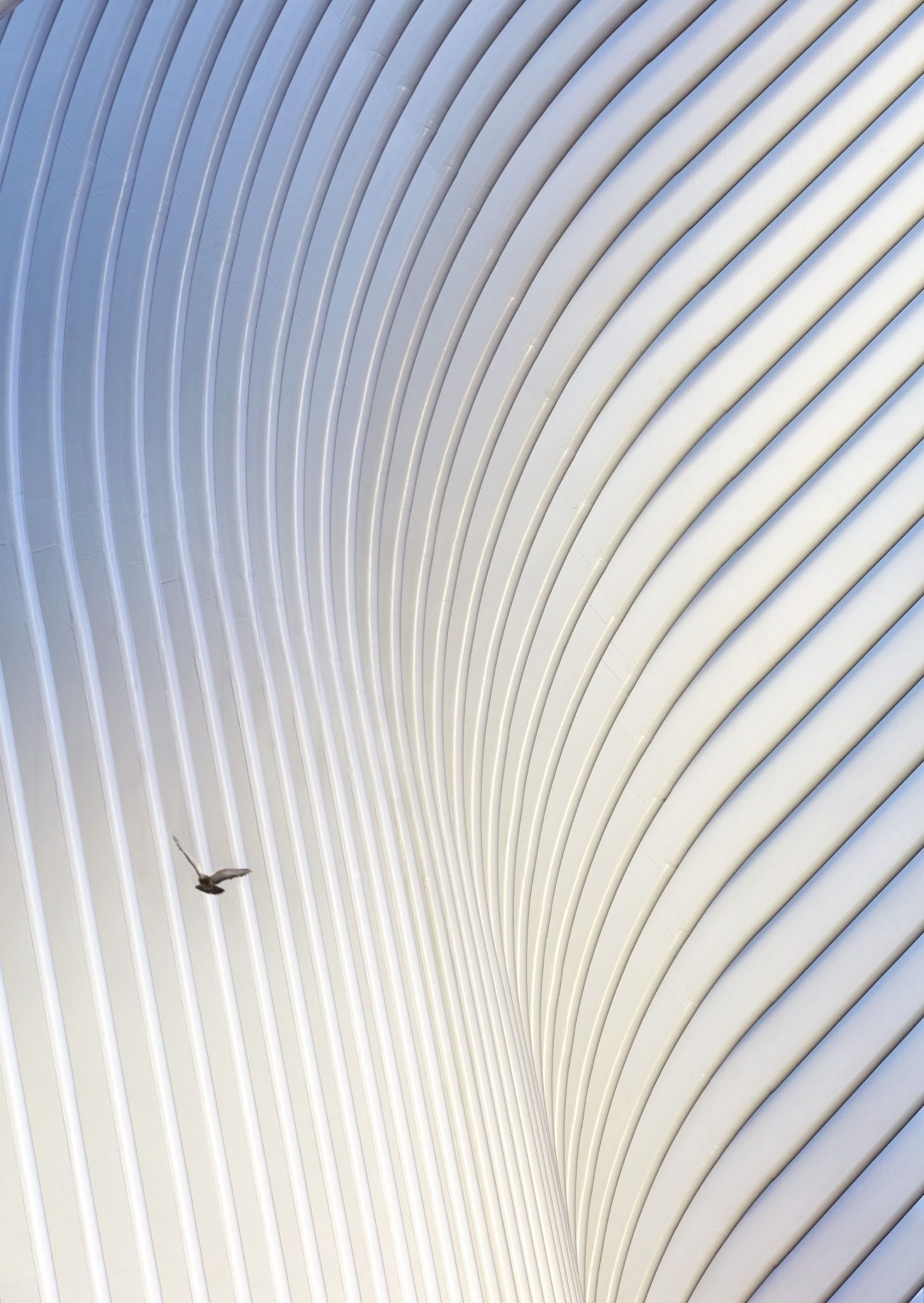 'Oculus NYC' World Trade Center Transportation Hub | Santiago Calatrava ...