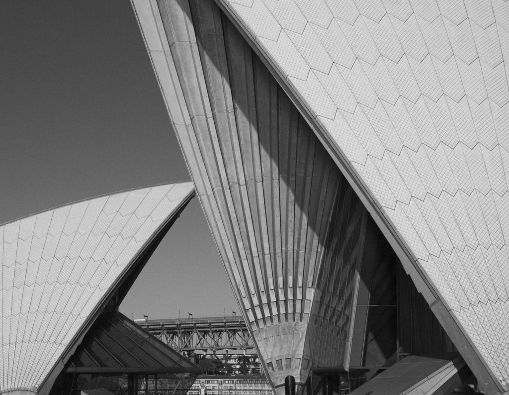 Sydney Opera House Conservation Takes a New Turn towards Robotics ...