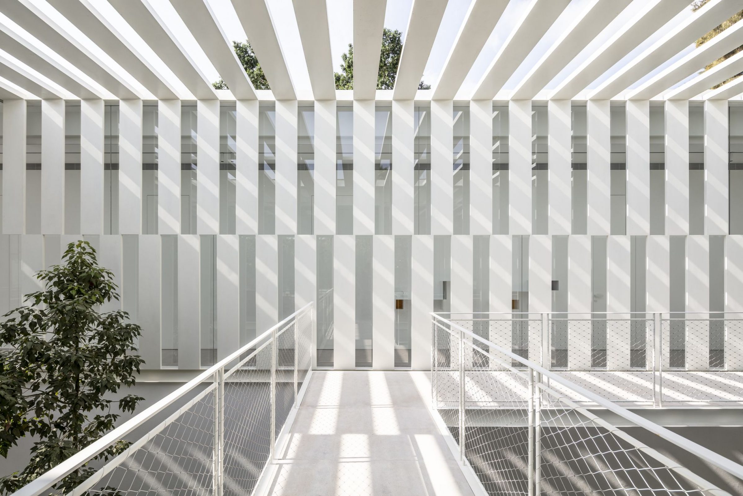 Split House | BKK Architects - Arch2O.com