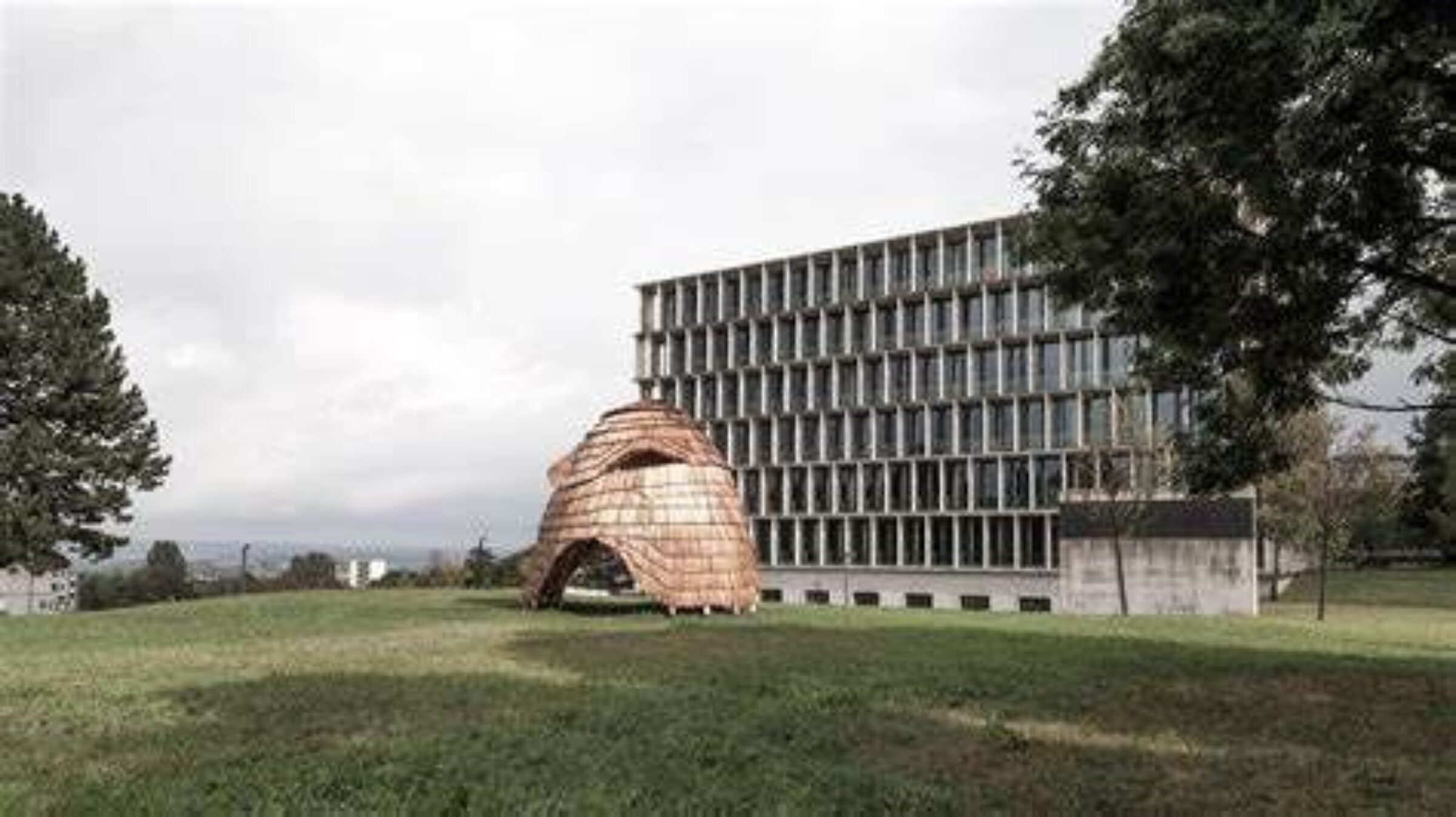 ETH Zurich Students Build the “World’s First” Two-Storey Wooden ...