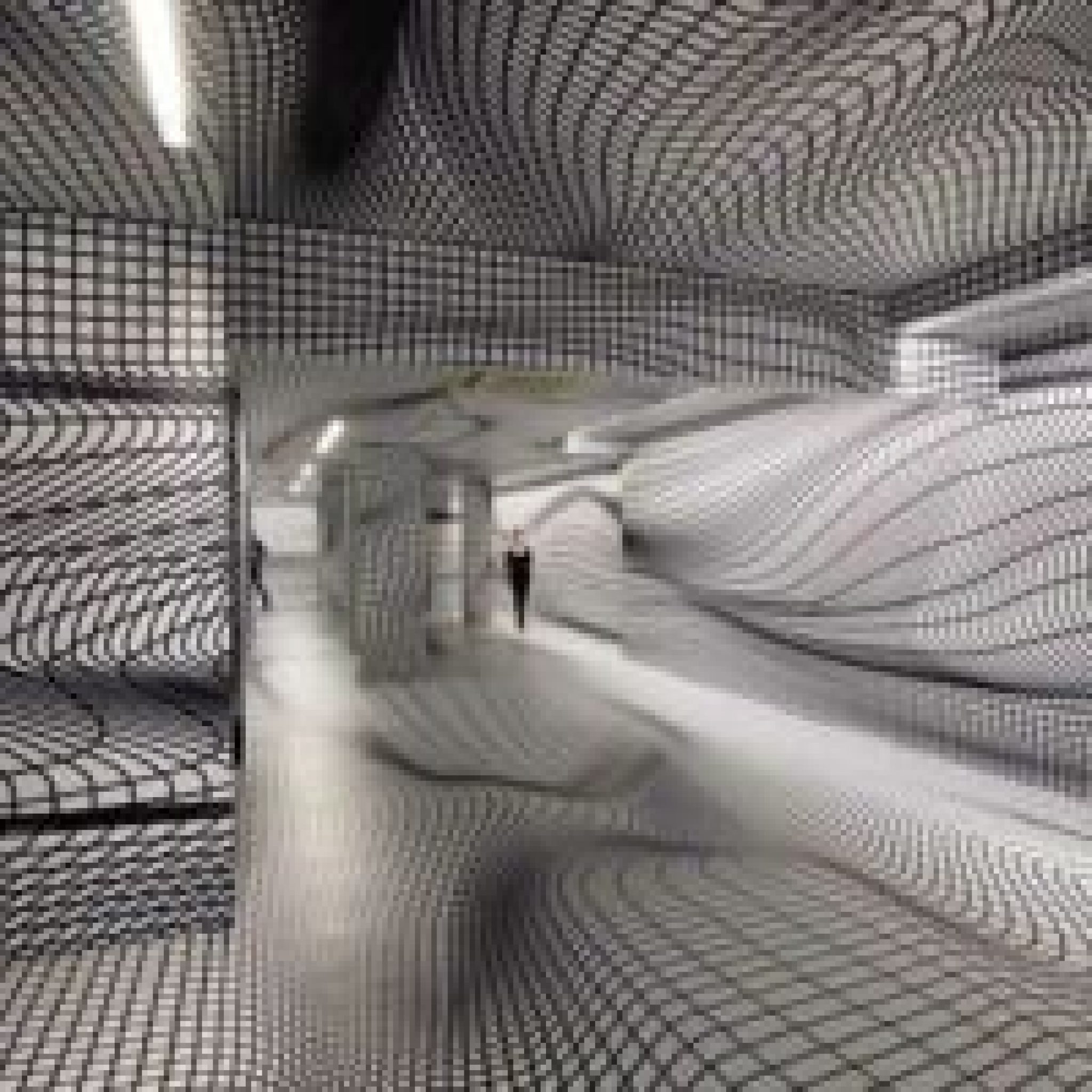 Austrian Artist Turns Ordinary Architectural Spaces into Optical ...