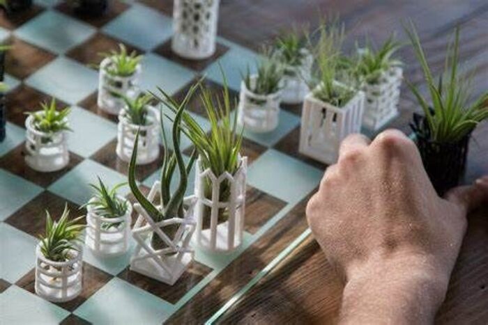 Chess Set with Miniature Plant Containers for Pieces Doubles as ...