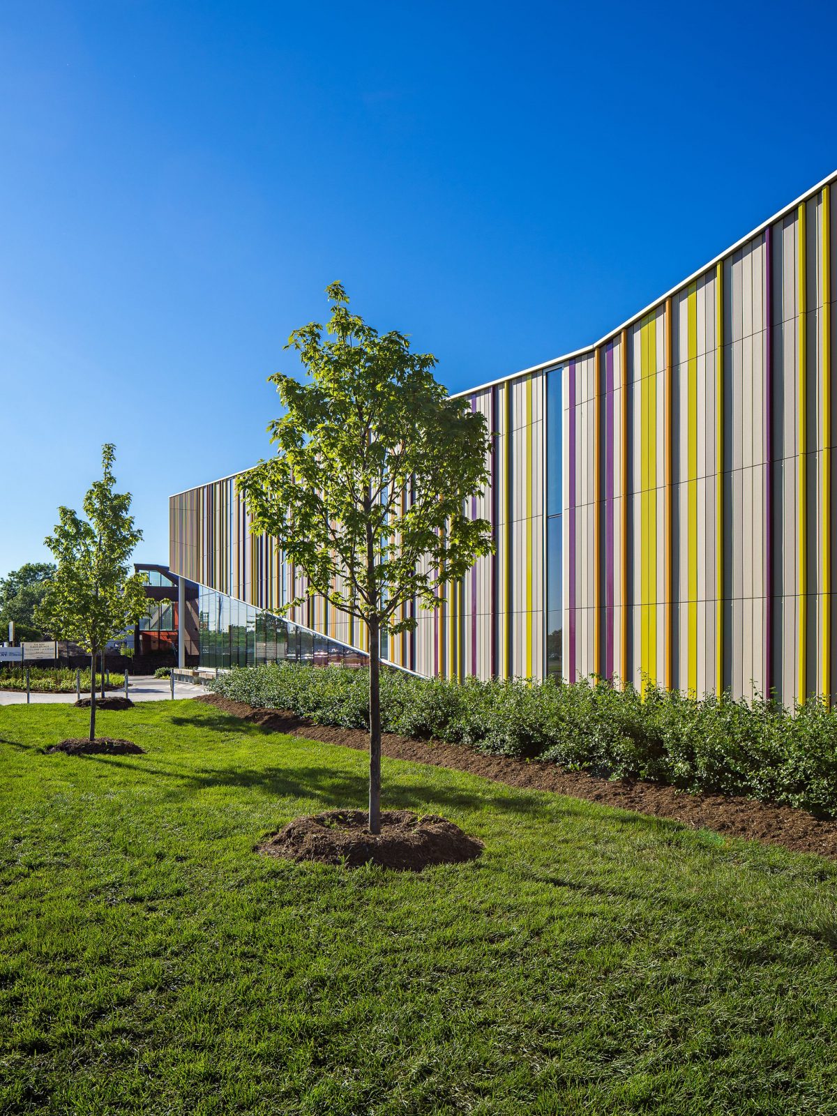 Albion Library | Perkins+Will - Arch2O.com