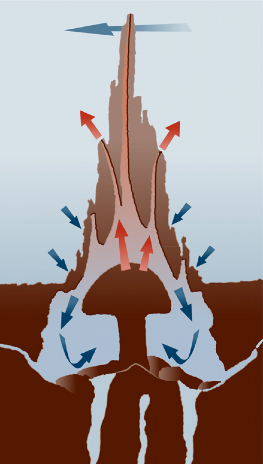 How Biomimicry Enhances Creativity in Architecture - Arch2O.com