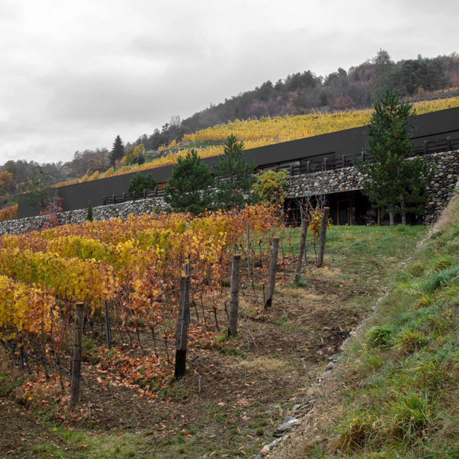 Underground House: An Extraordinary Residential Experience - Arch2O.com