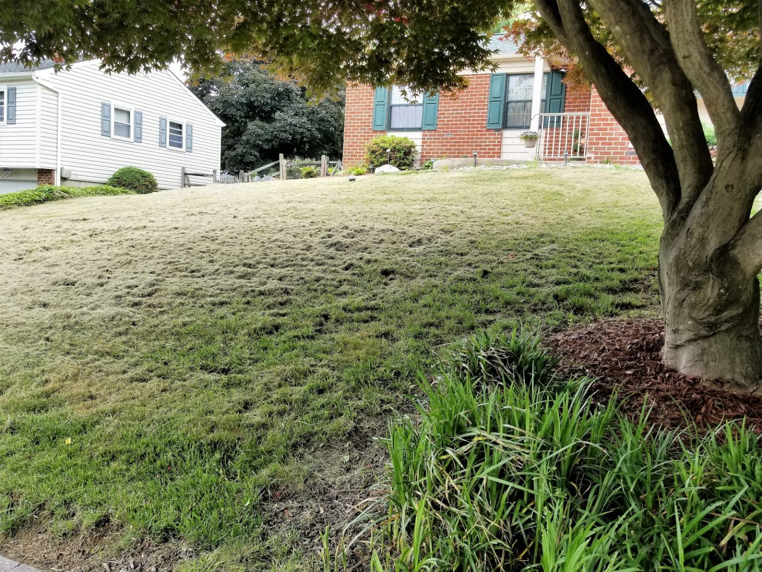 10 Landscaping Mistakes Ruining Your Garden and How to Avoid them ...