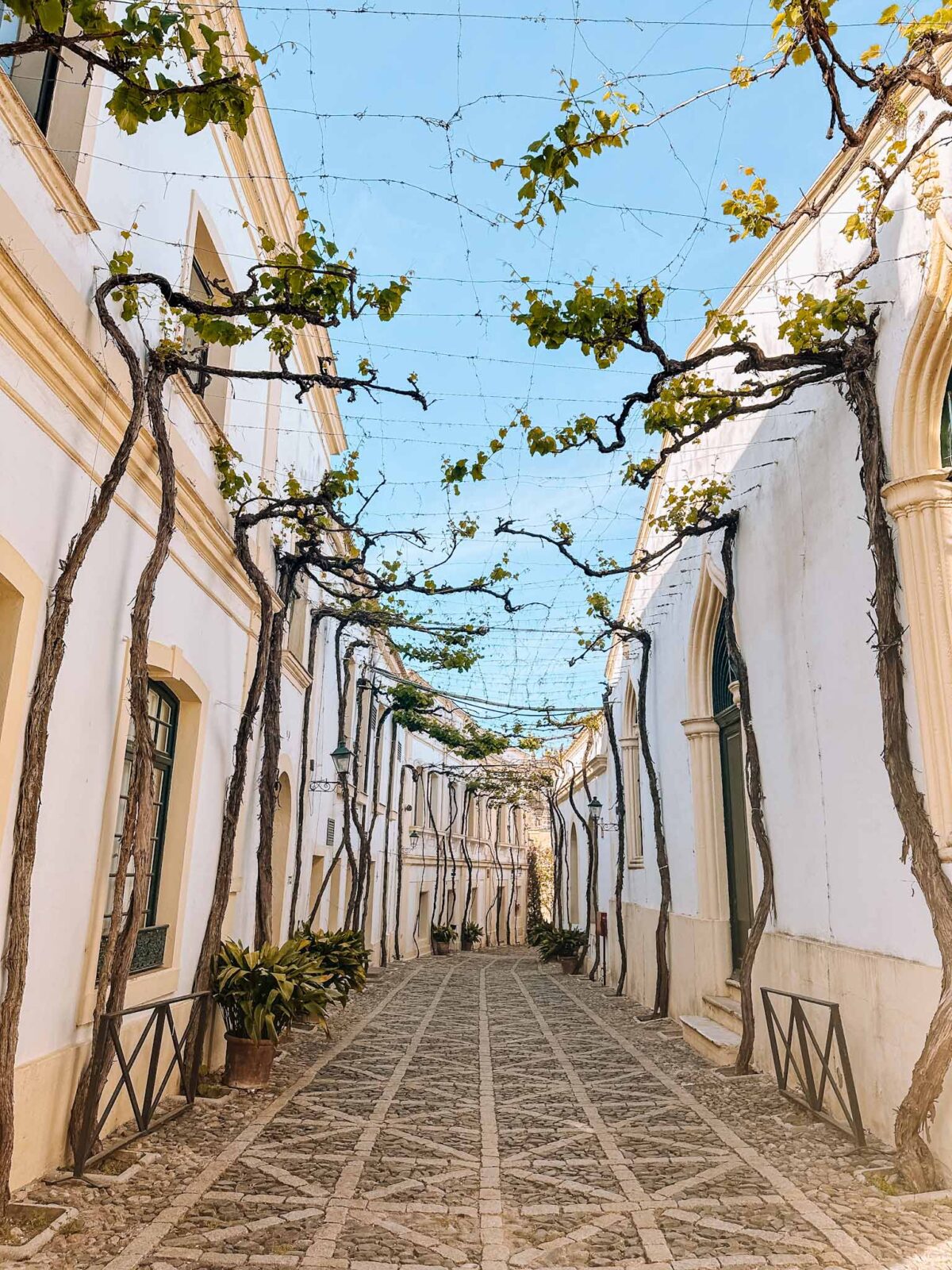 10 Mesmerizing Streets Around The World – Arch2O.com