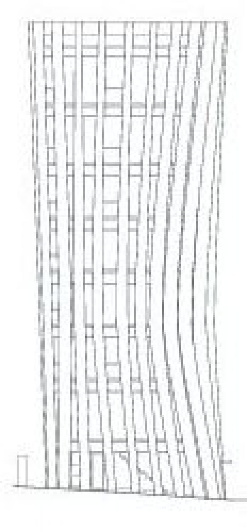 Omotesando Keyaki Commercial Building | Norihiko Dan and Associates ...