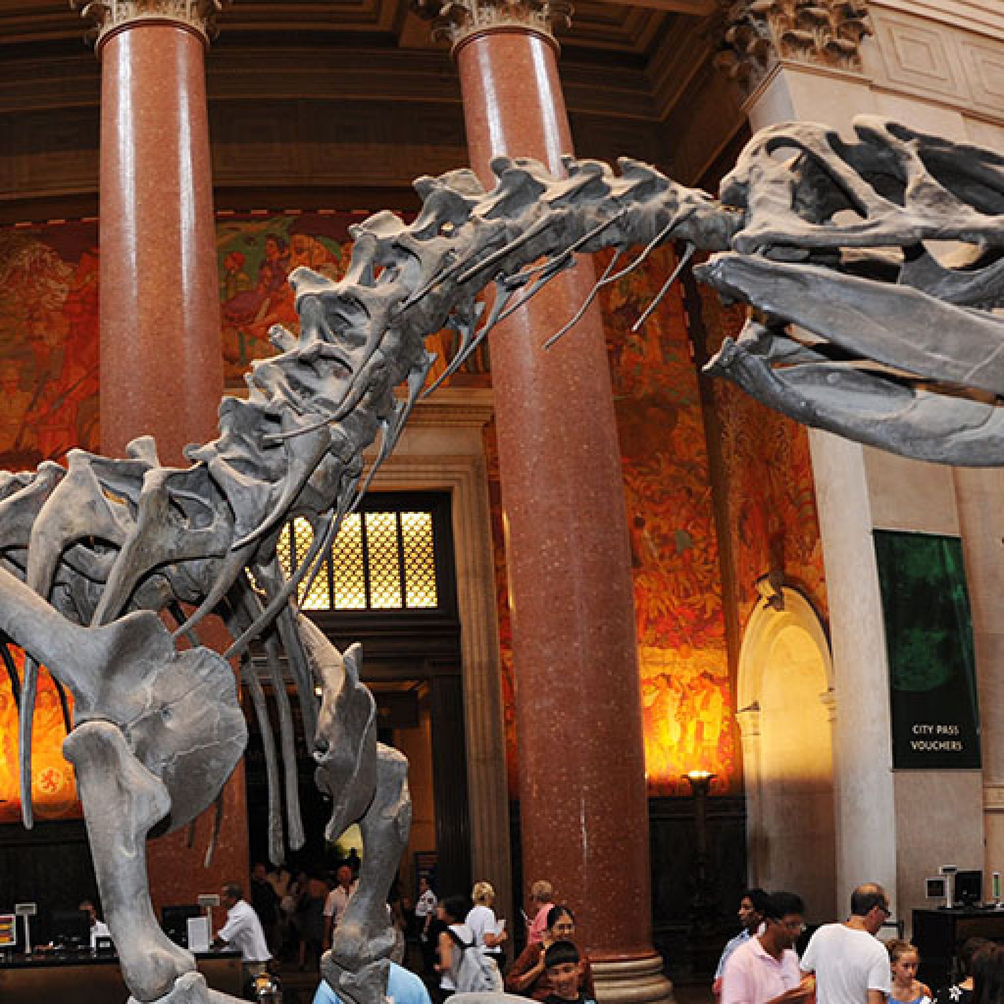 10 of The Best Museums in us-Arch2o