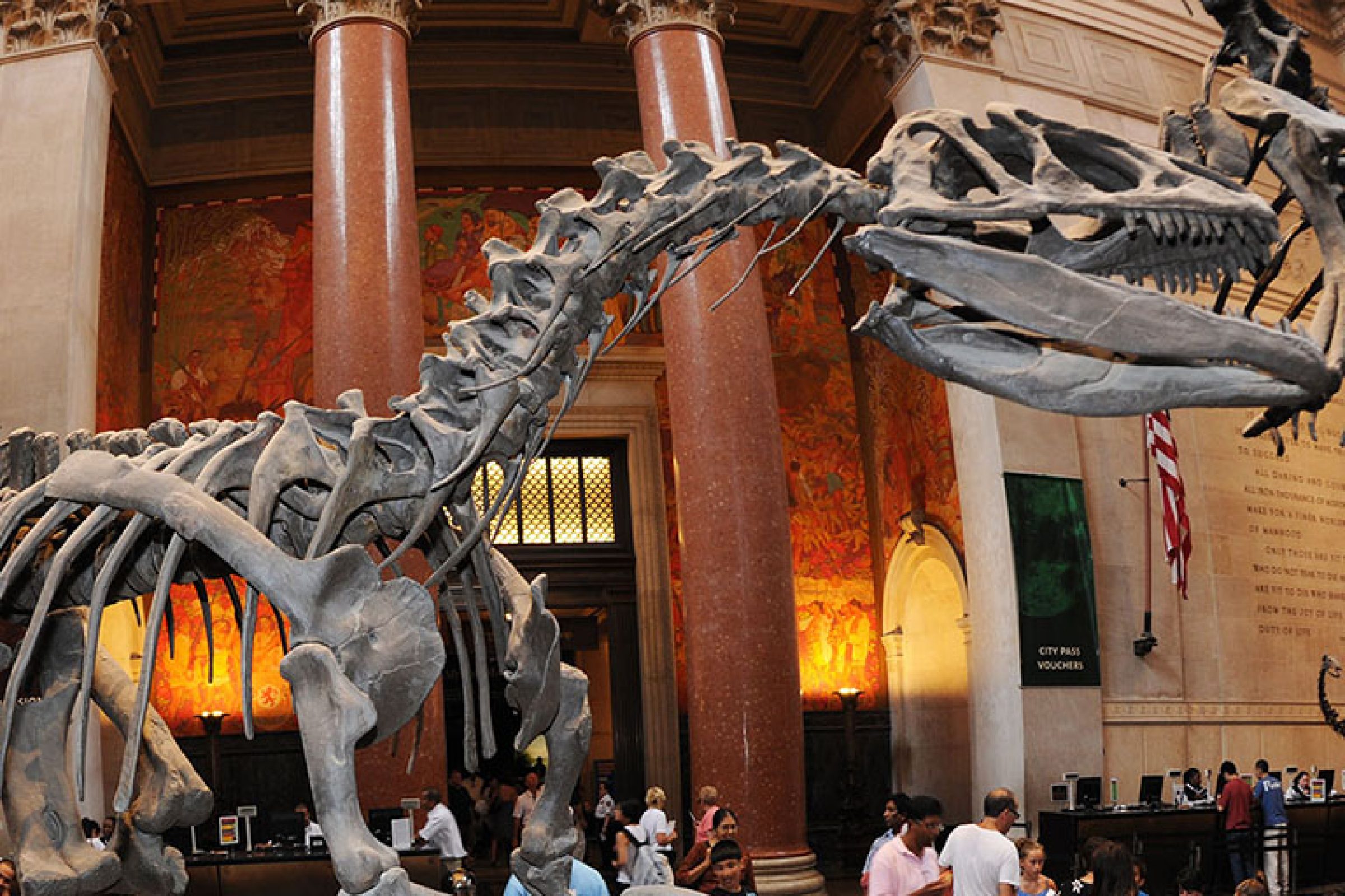 10 of The Best Museums in us-Arch2o