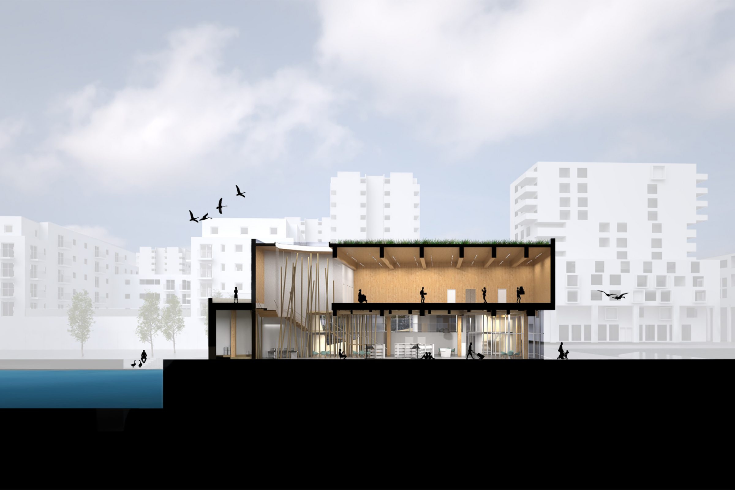 Bisset Adams Declared Winner of RIBA Contest for Designing New Library ...