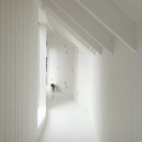 Tree House | 6a Architects - Arch2O.com