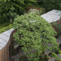 Tree House | 6a Architects - Arch2O.com