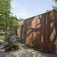 Tree House | 6a Architects - Arch2O.com