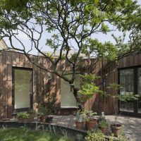 Tree House | 6a Architects - Arch2O.com