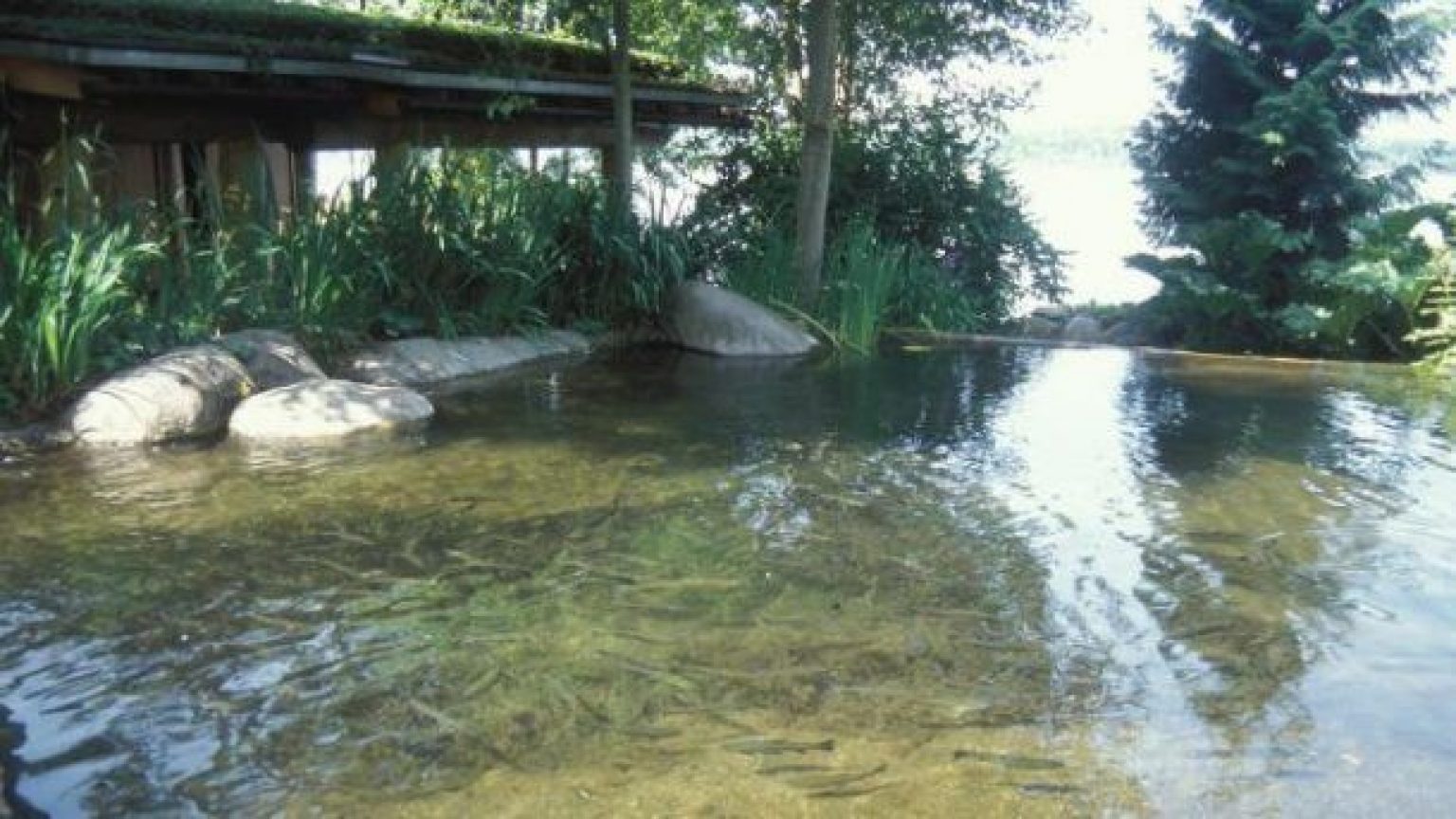 9 Facts About Bill Gates' House You Probably Didn’t Know About It ...